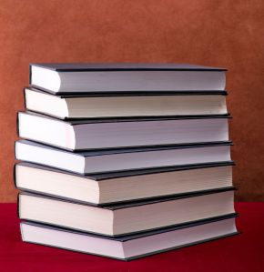 Book Roundup | Bipolar Me